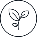 Ocean Revive - Loren Williams